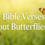 50+ Bible Verses About Clarity With Explained